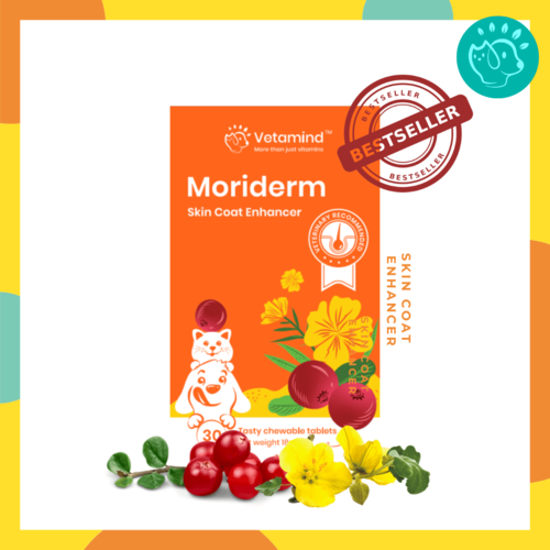 Daily Supplement : Moriderm (Skin Coat Enhancer)